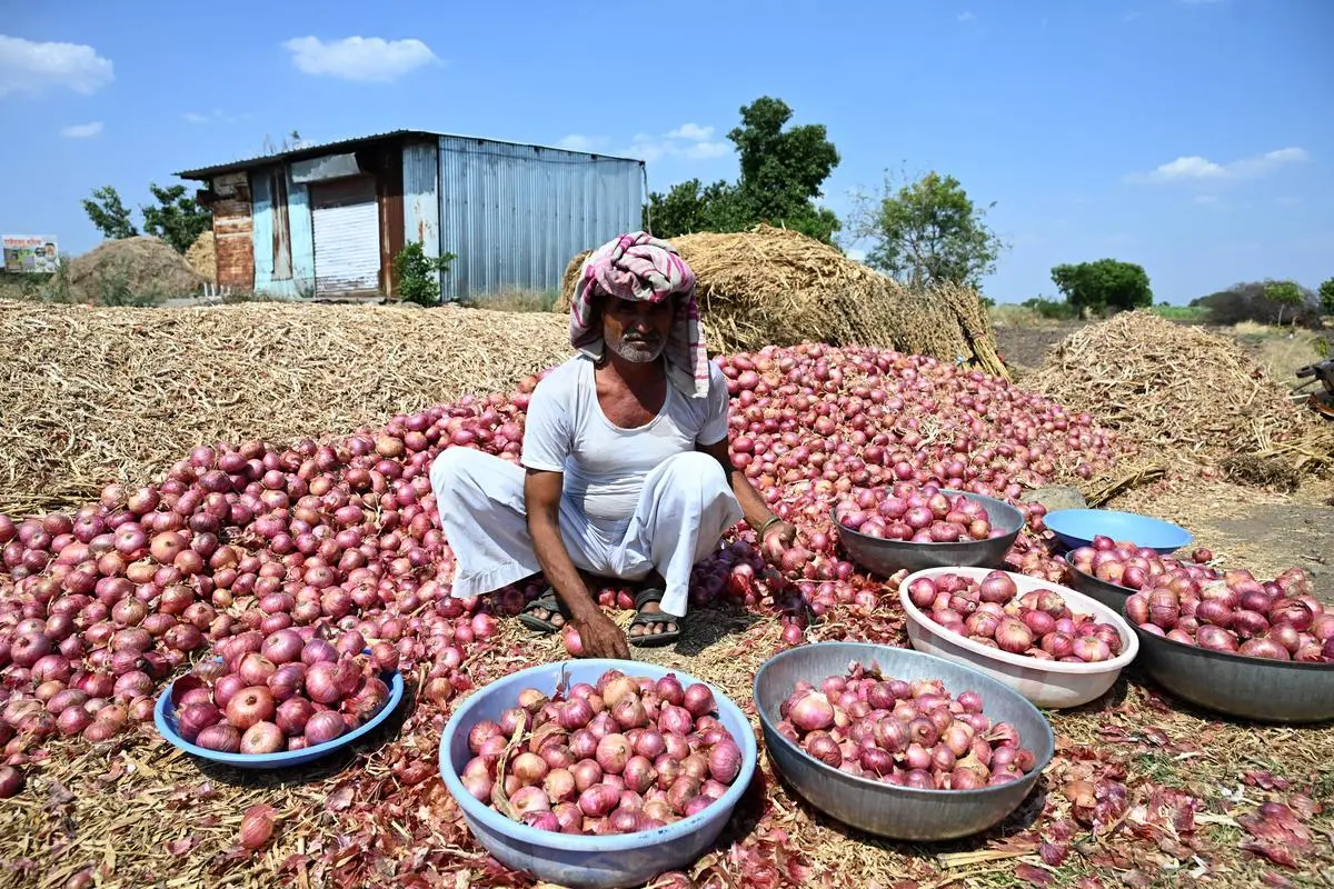 How The Opposition INDIA Bloc Reaped Agrarian Anger And Gave BJP A Major Setback - Frontline